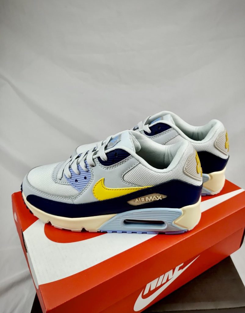 Giày Nike Air Max 90 Essential Royal Tint AJ1285-008